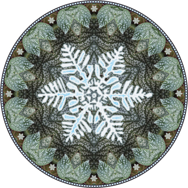Snowflake Mandala, Botanical Mandala Art by Daniel McPheeters