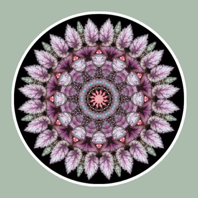 Pink Sun Mandala, Mandala Art